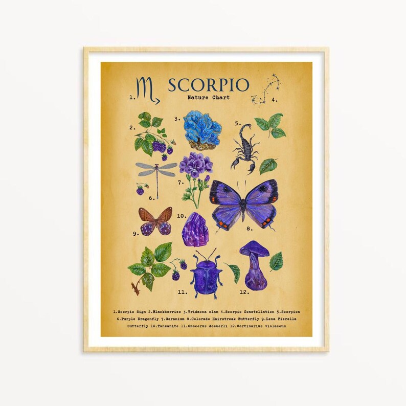 Scorpio Vintage Creation Chart Digital Download - Etsy