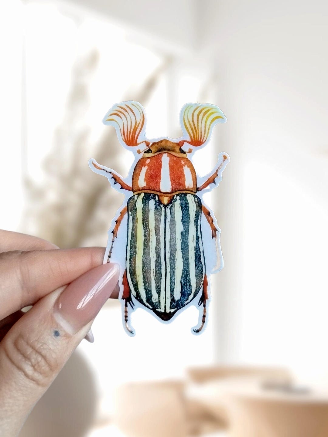 June Beetle Waterproof Sticker, Entomology Gift - Etsy
