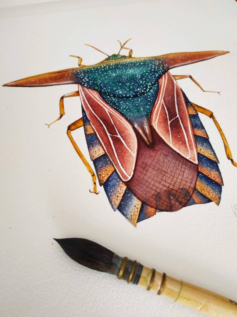 Beetle Art Print Insect Watercolor Painting Entomology Gift - Etsy