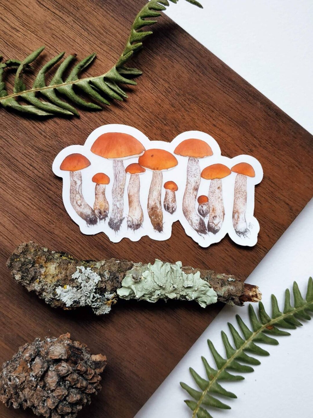 Mushroom Clear Sticker, Hydroflask Stickers, Nature Stickers ...