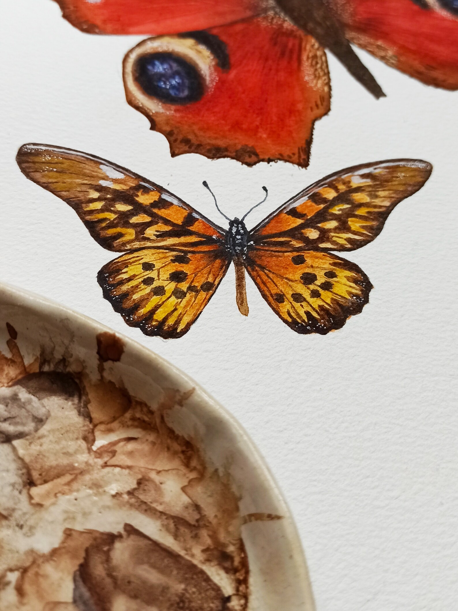 Butterflies Nature Art Print, Colorful Living Room Wall Decor, Gift for ...