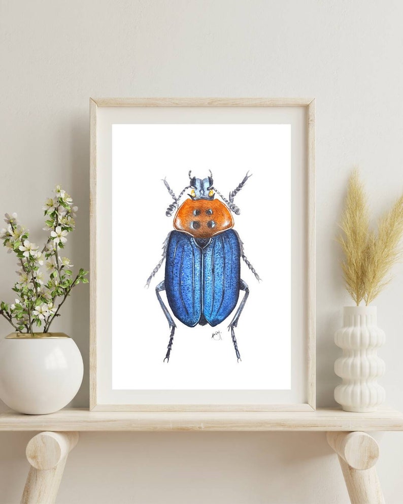 Pinned Insect Art Print of Blue Beetle Entomology Gift - Etsy