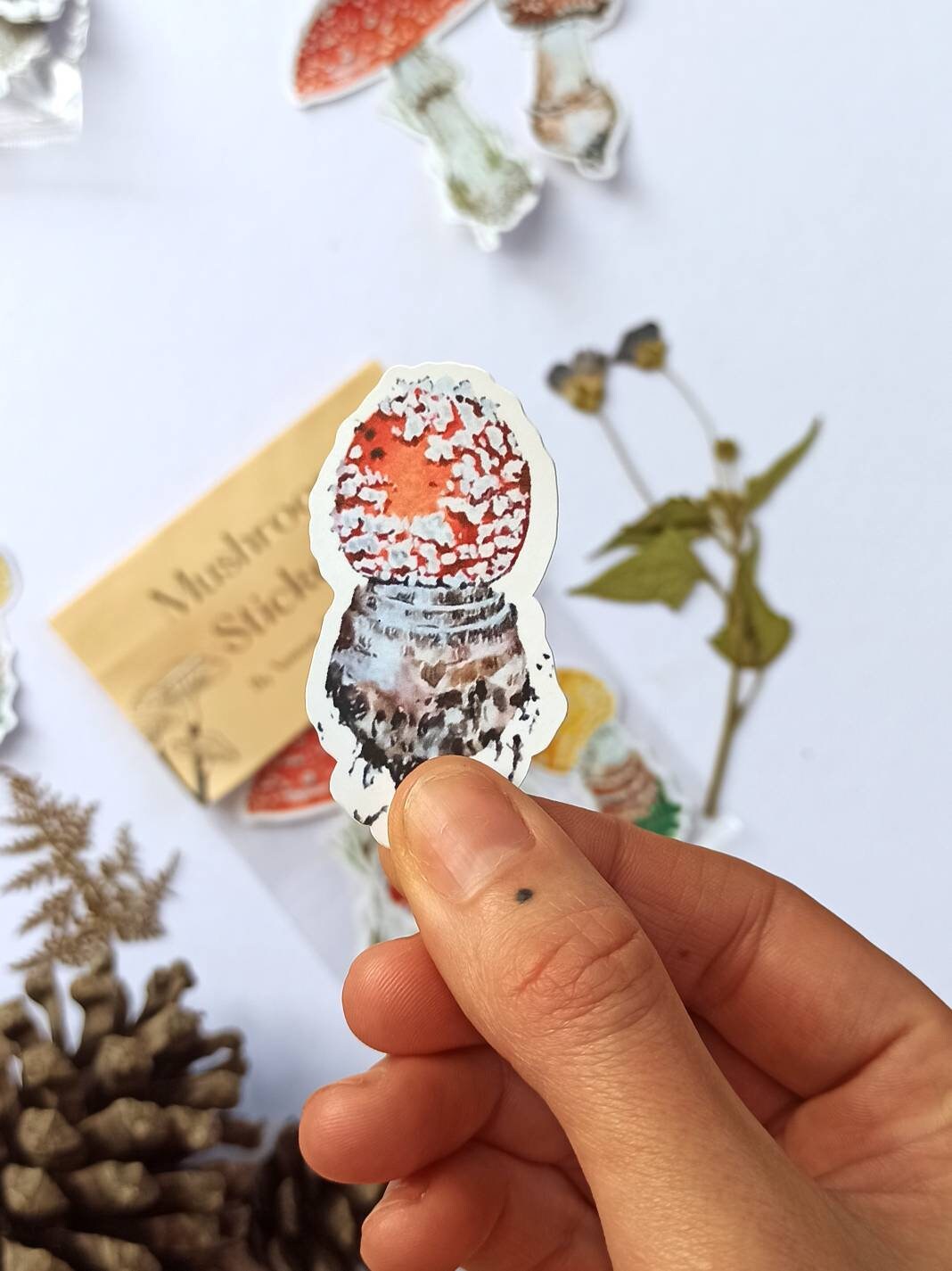 Mushroom Sticker Pack Amanita Muscaria Bundle Nature - Etsy