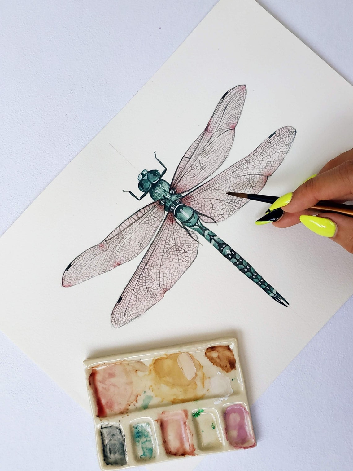 Watercolor Dragonfly Art Print: Colorful Insect Wall Art - Etsy