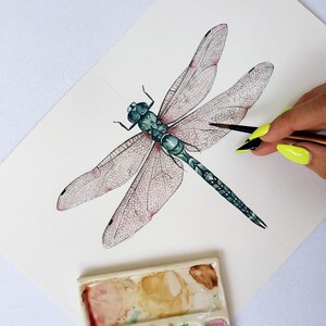 Insect Print of Dragonfly Watercolor Illustration, Insect Taxidermy ...