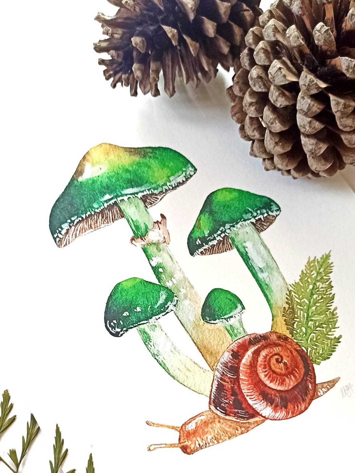 Mushrooms and Snail, Print of Botanical Watercolor Illustration LIMITED ...