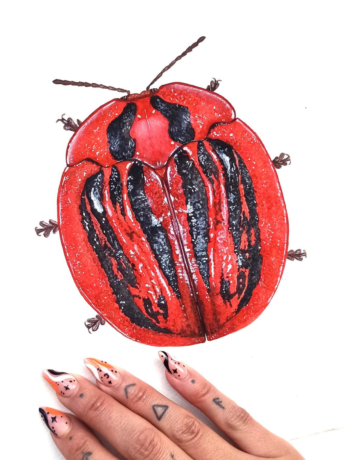 Red Insect Specimen Cassidinae Beetle Wall Art, Watercolor Illustration ...