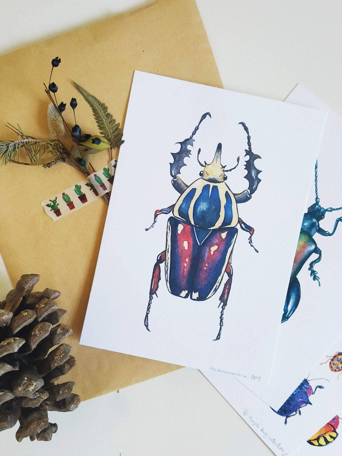 Bug Art Print of Beetle Watercolor, Pinned Insect Art, Entomology Gift ...