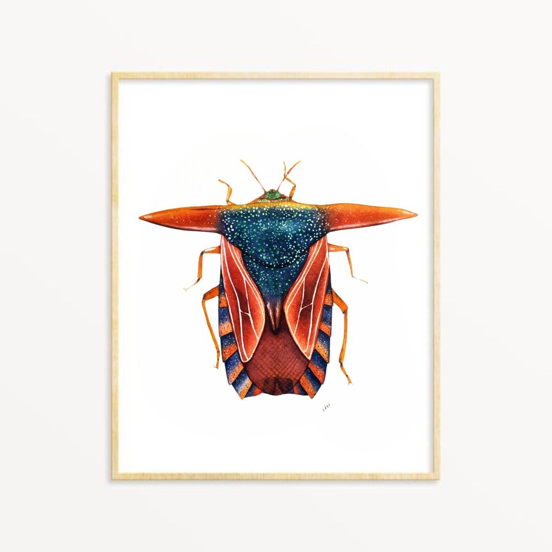 Shield Bug Art Print: Pygoplatys Lancifer Watercolor Illustration - Etsy