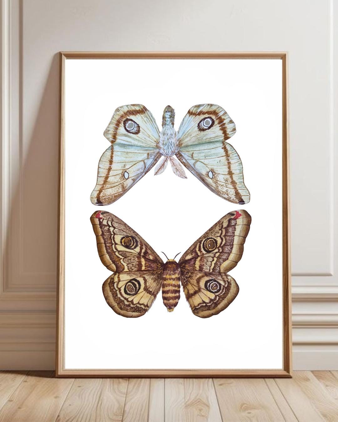 Moth Illustration Print, Yin & Yang Moths - Etsy