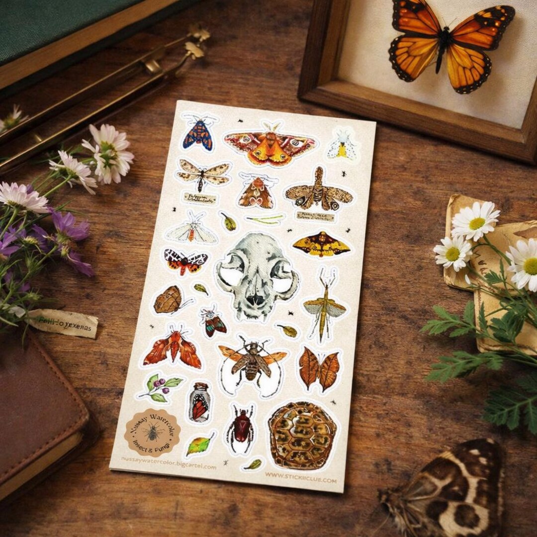 Entomology Sticker Sheet, Vintage Moth & Butterfly Decals, Dark ...