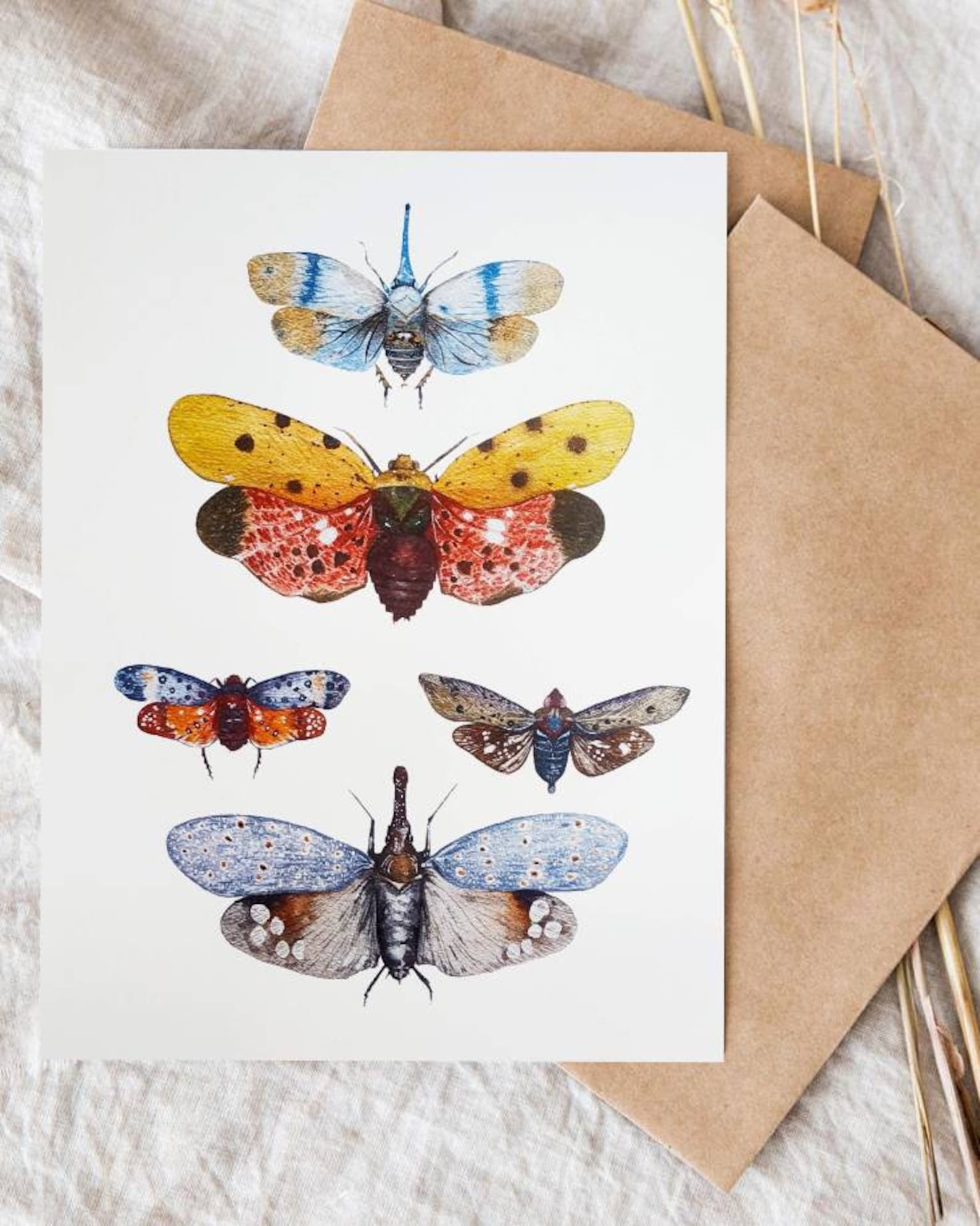 Insect Watercolor Illustration Print of Lantern Fly - Etsy