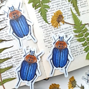 Bug Stickers, Waterproof and Scratch Resistant, Entomology Gift, Insect ...