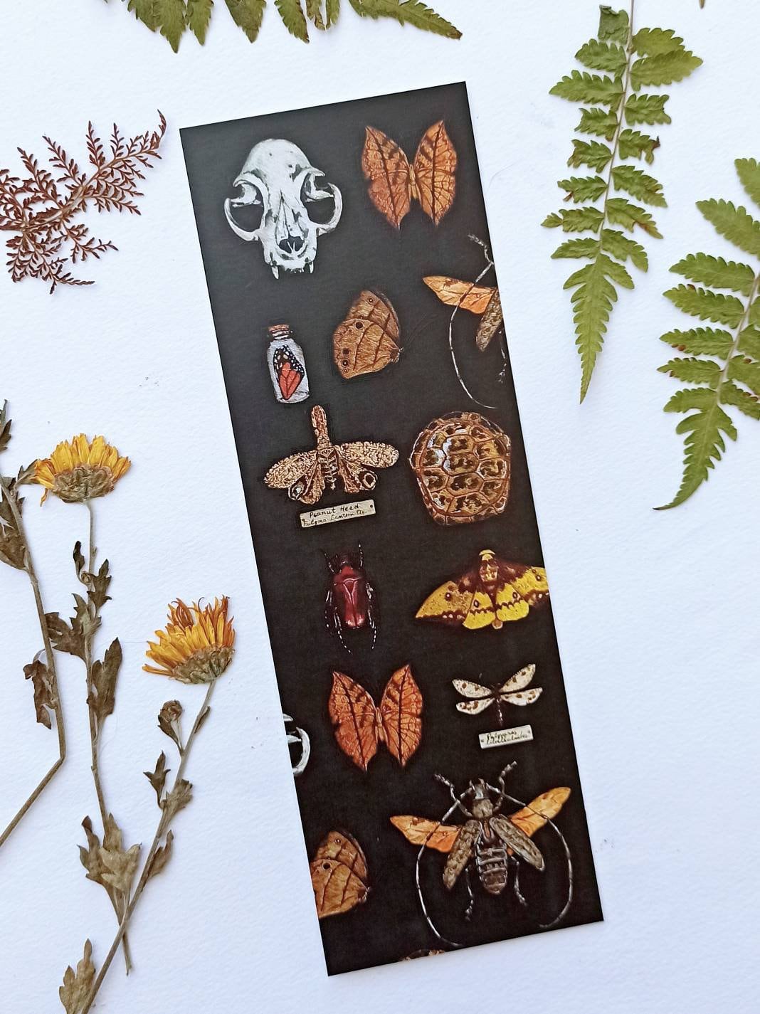 Witchy Bookmark Insect Bookmarks Beetles Oddities - Etsy