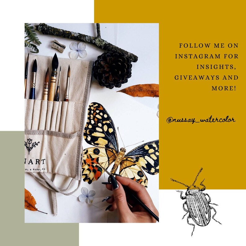 Insect Bumper Sticker Insect Decal Entomologist Car Green - Etsy