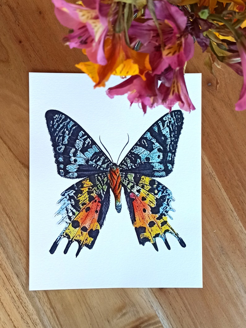 Sunset Moth Art Print of Watercolor Painting, Butterfly Pinned Art ...