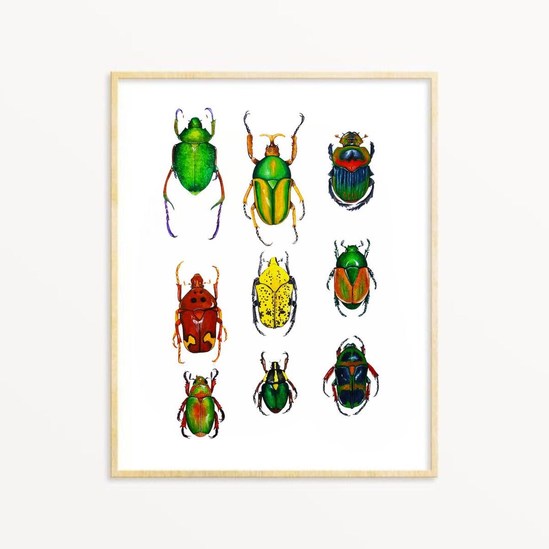 Insect Watercolor Art Print of Beetles, Colorful Bug Themed Nursery ...