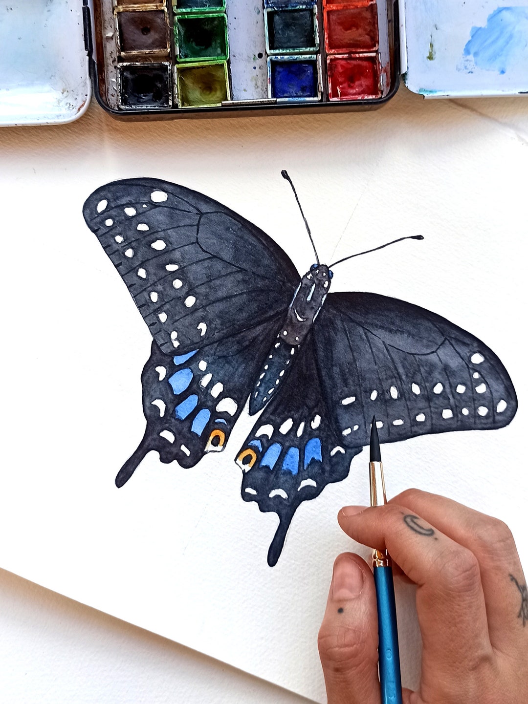 Black Swallowtail Butterfly Watercolor Print, American Butterfly ...