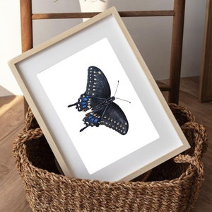Black Swallowtail Butterfly Watercolor Art Print - Etsy