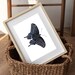 Black Swallowtail Butterfly Watercolor Print, American Butterfly ...