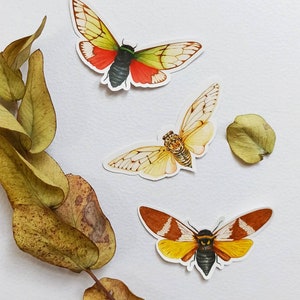 Cicada Stickers Pack, Cicada Chasers Stickers, Insect Accessories ...