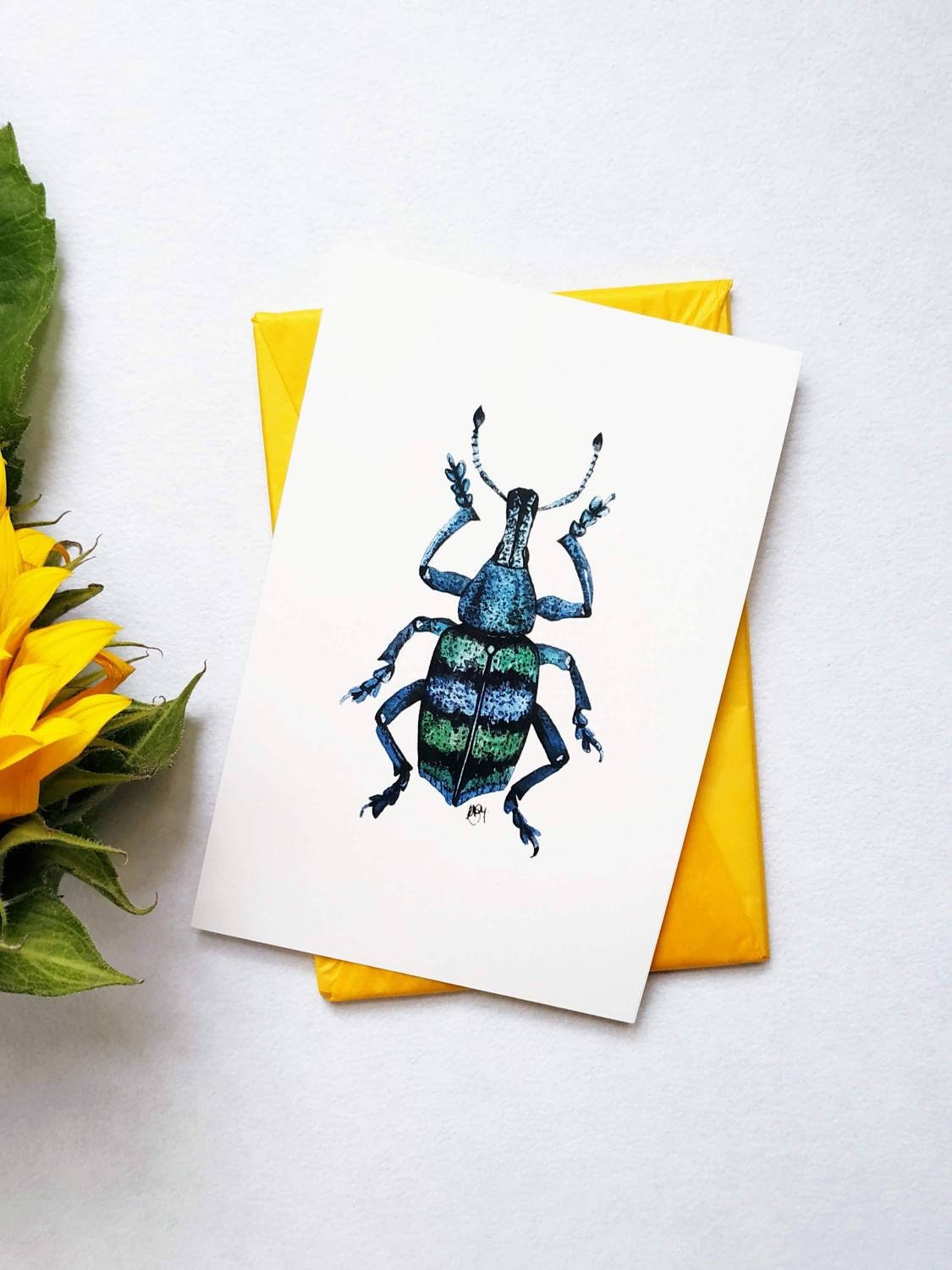 Blue Weevil Beetle, Watercolor Print, Pinned Insect Art, Entomology ...