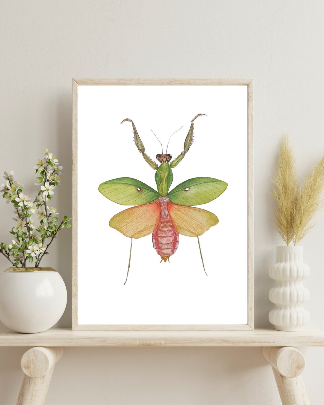 Praying Mantis Watercolor Illustration Print, Mantis Gift, Pinned ...