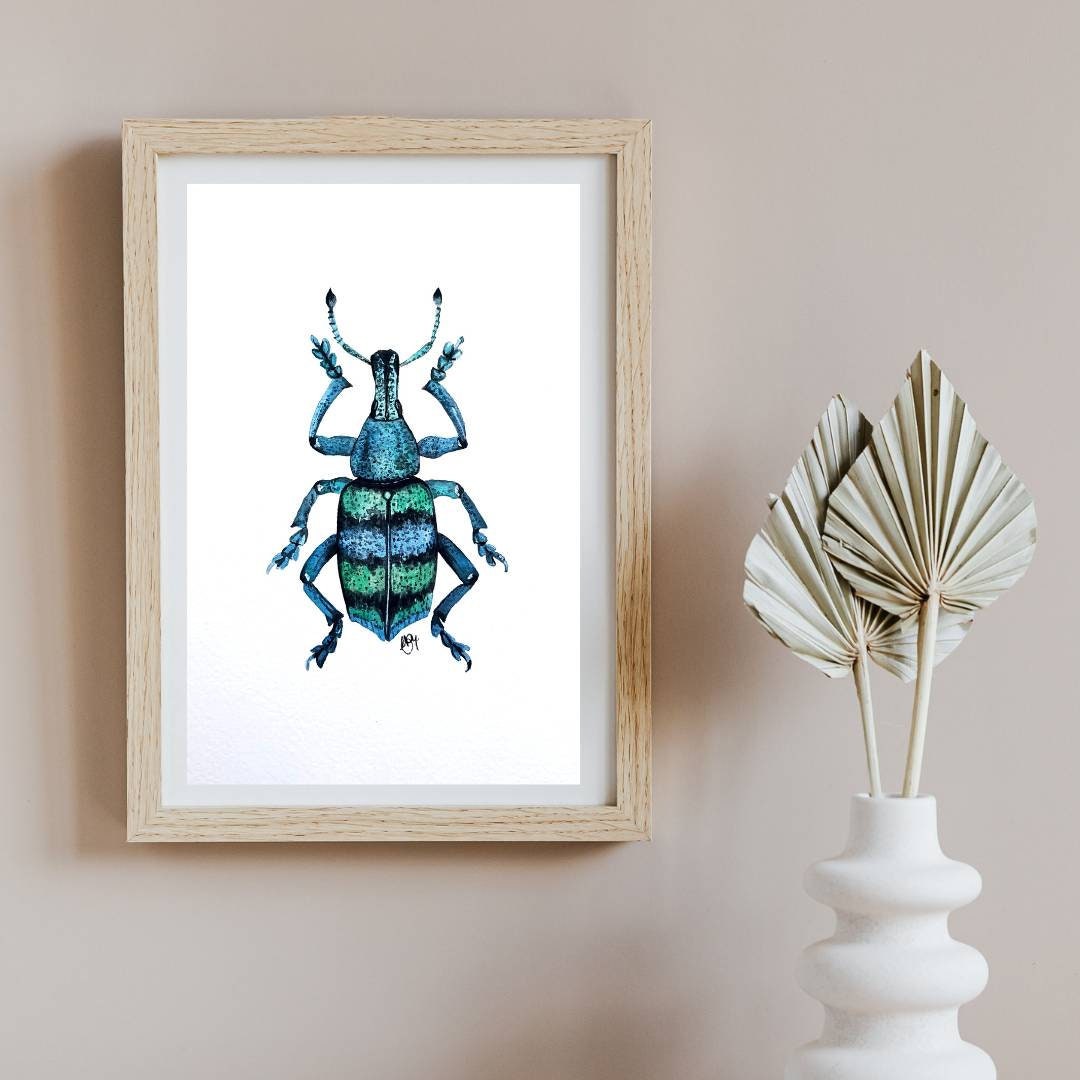 Blue Weevil Beetle, Watercolor Print, Pinned Insect Art, Entomology ...