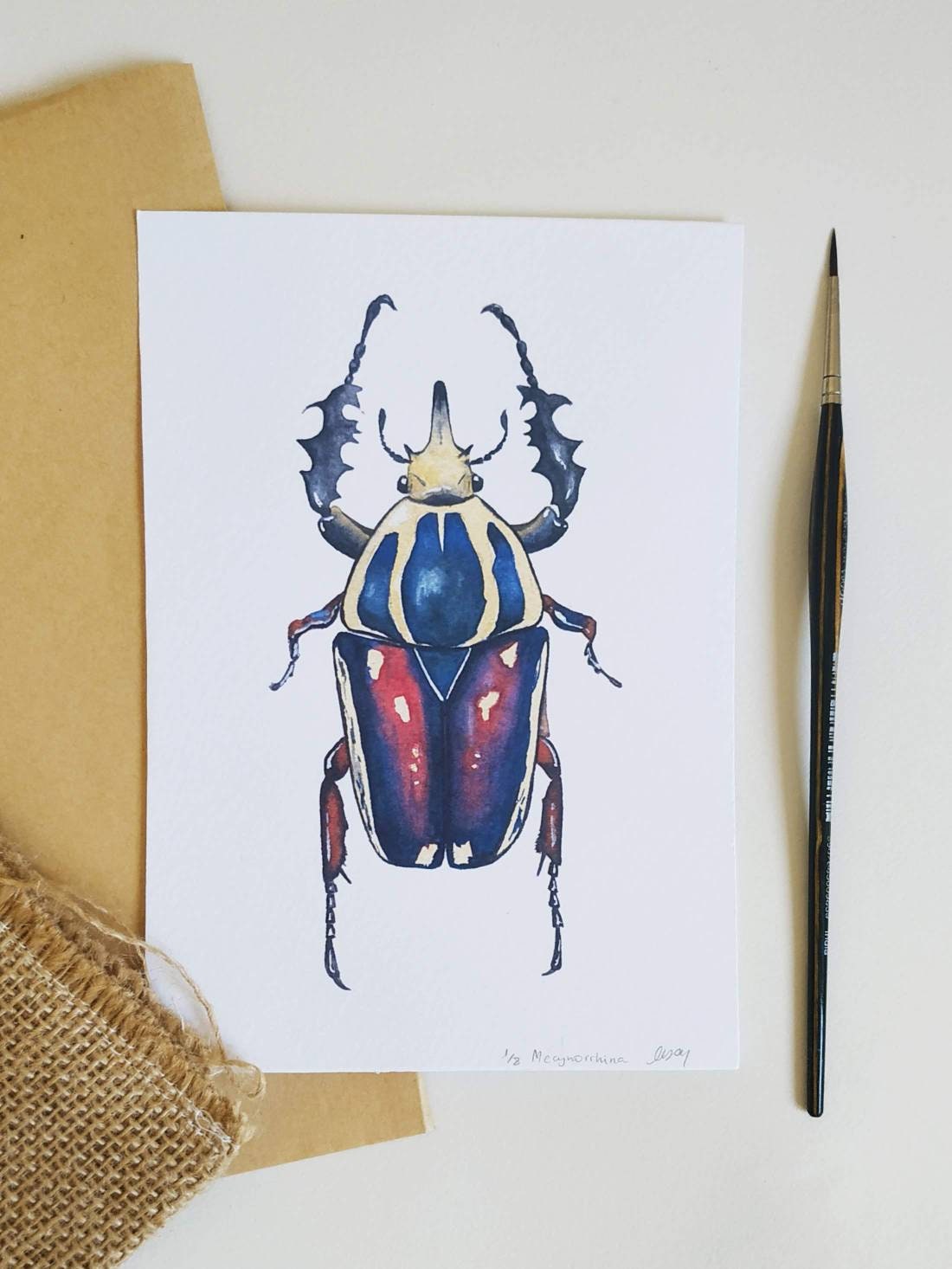 Bug Art Print of Beetle Watercolor, Pinned Insect Art, Entomology Gift ...