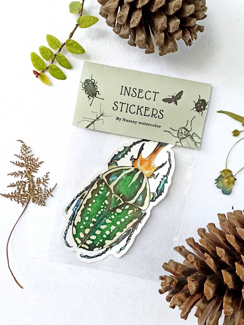 Insect Bumper Sticker Insect Decal Entomologist Car Green - Etsy
