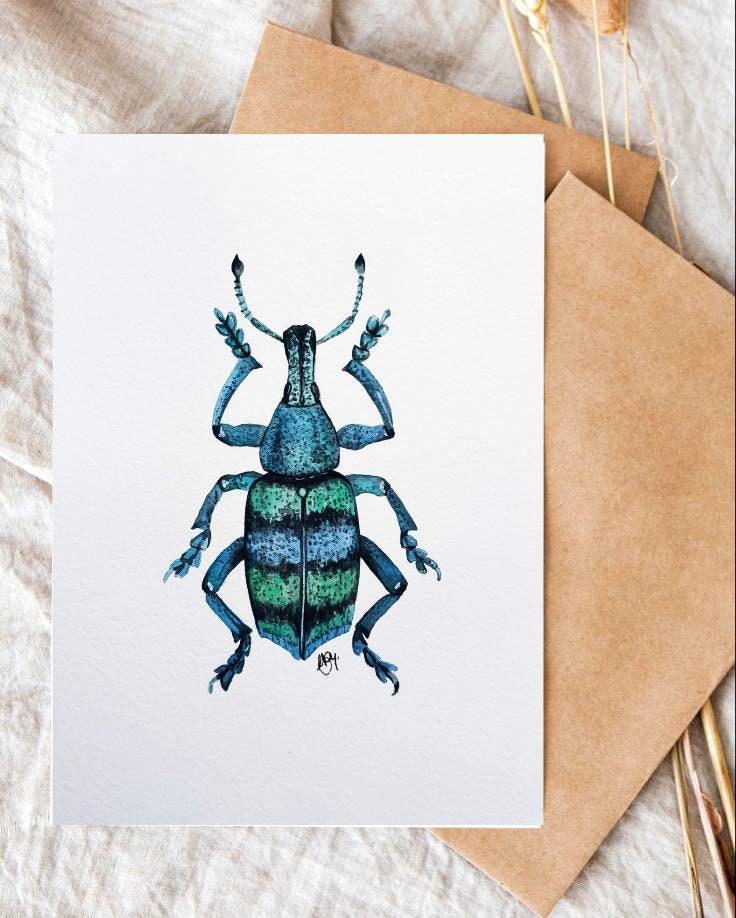 Blue Weevil Beetle, Watercolor Print, Pinned Insect Art, Entomology ...