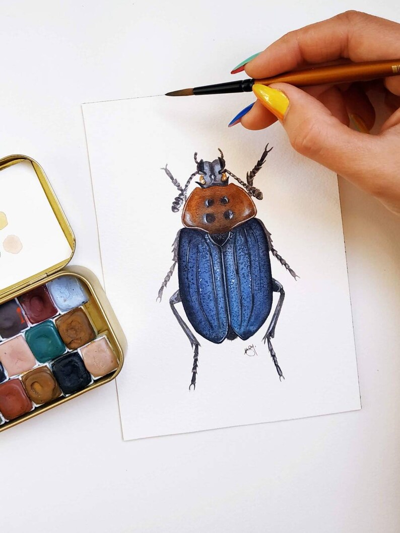 Pinned Insect Art Print of Blue Beetle Entomology Gift - Etsy