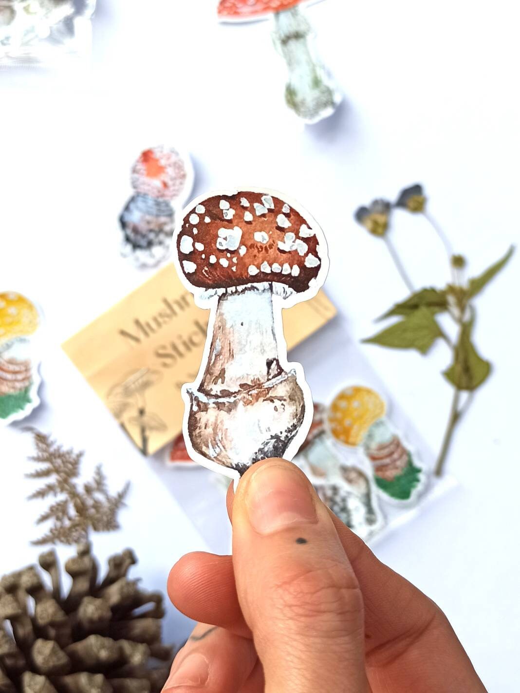 Mushroom Sticker Pack Amanita Muscaria Bundle Nature - Etsy