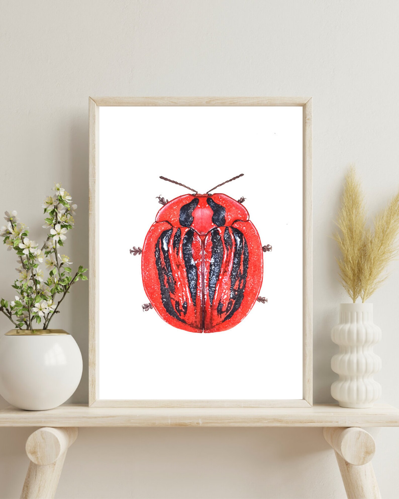 Red Insect Specimen Cassidinae Beetle Wall Art, Watercolor Illustration ...