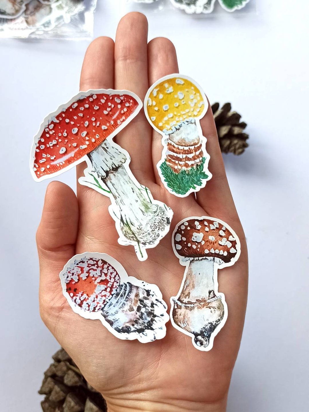 Mushroom Sticker Pack, Amanita Muscaria Bundle, Nature Stickers ...