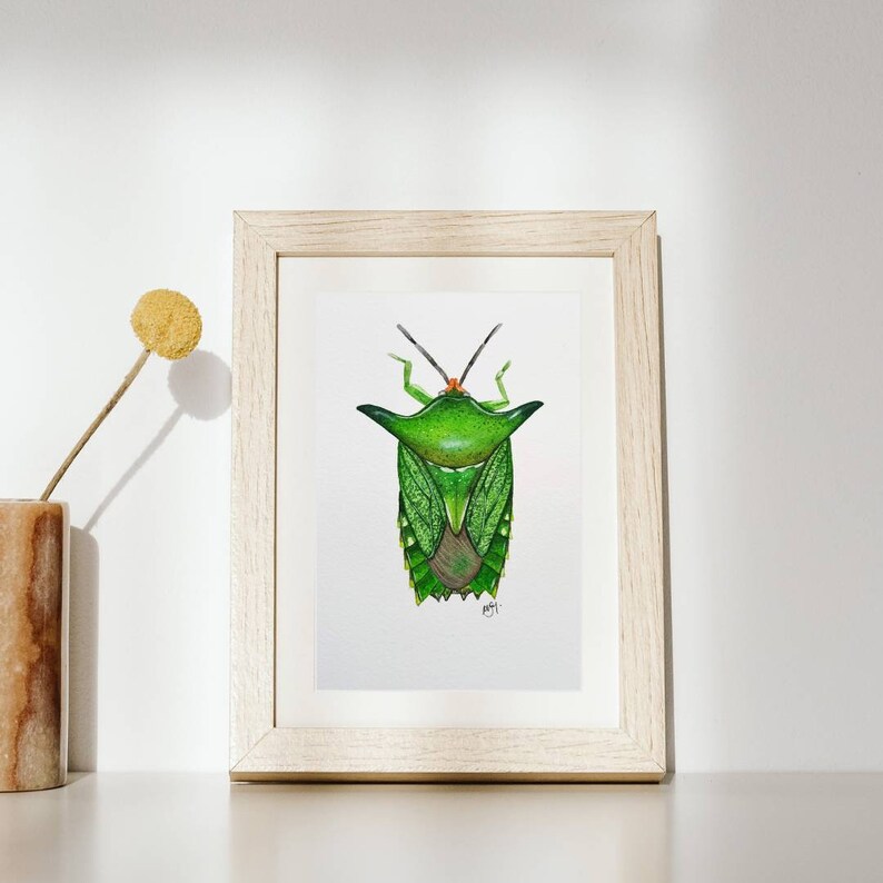 Green Beetle Art Print Bug Nursery Art Bold Insect - Etsy