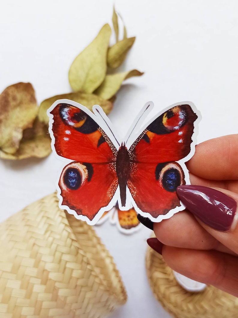 Butterfly Sticker Pack, Set of Butterfly Sticker, Nature Stickers for ...