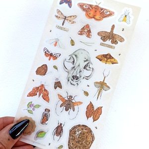 Entomology Sticker Sheet: Watercolor Moths, Insects, Curiosities - Etsy