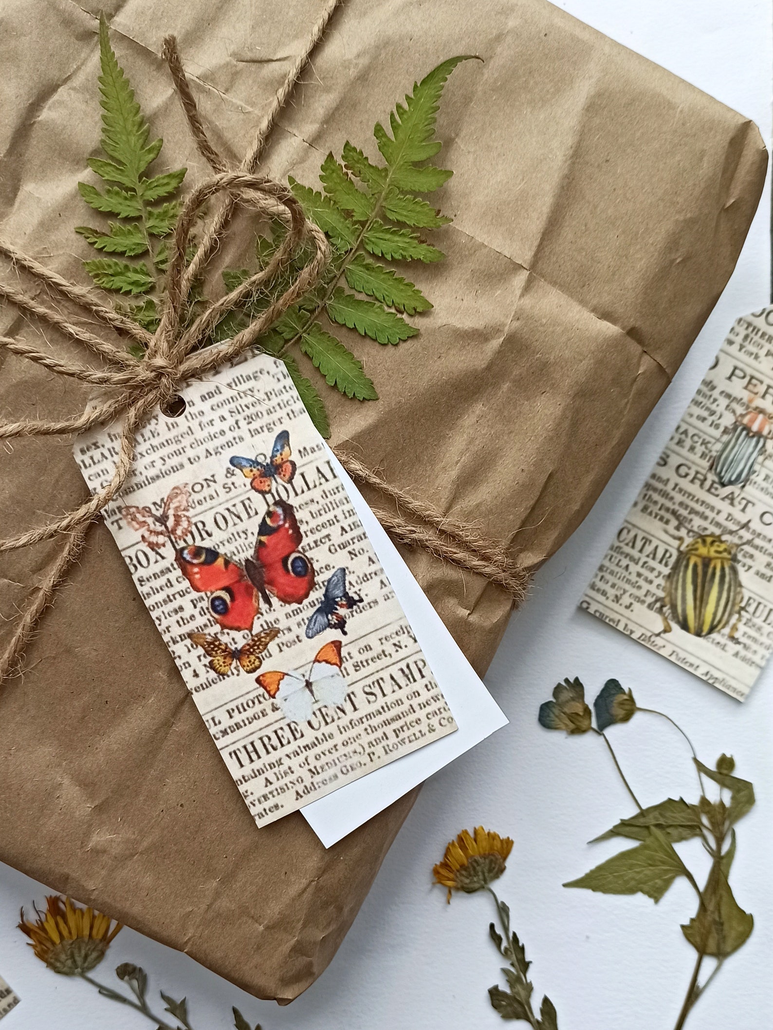 Gift Tags Digital Download Bugs and Butterflies Printable - Etsy