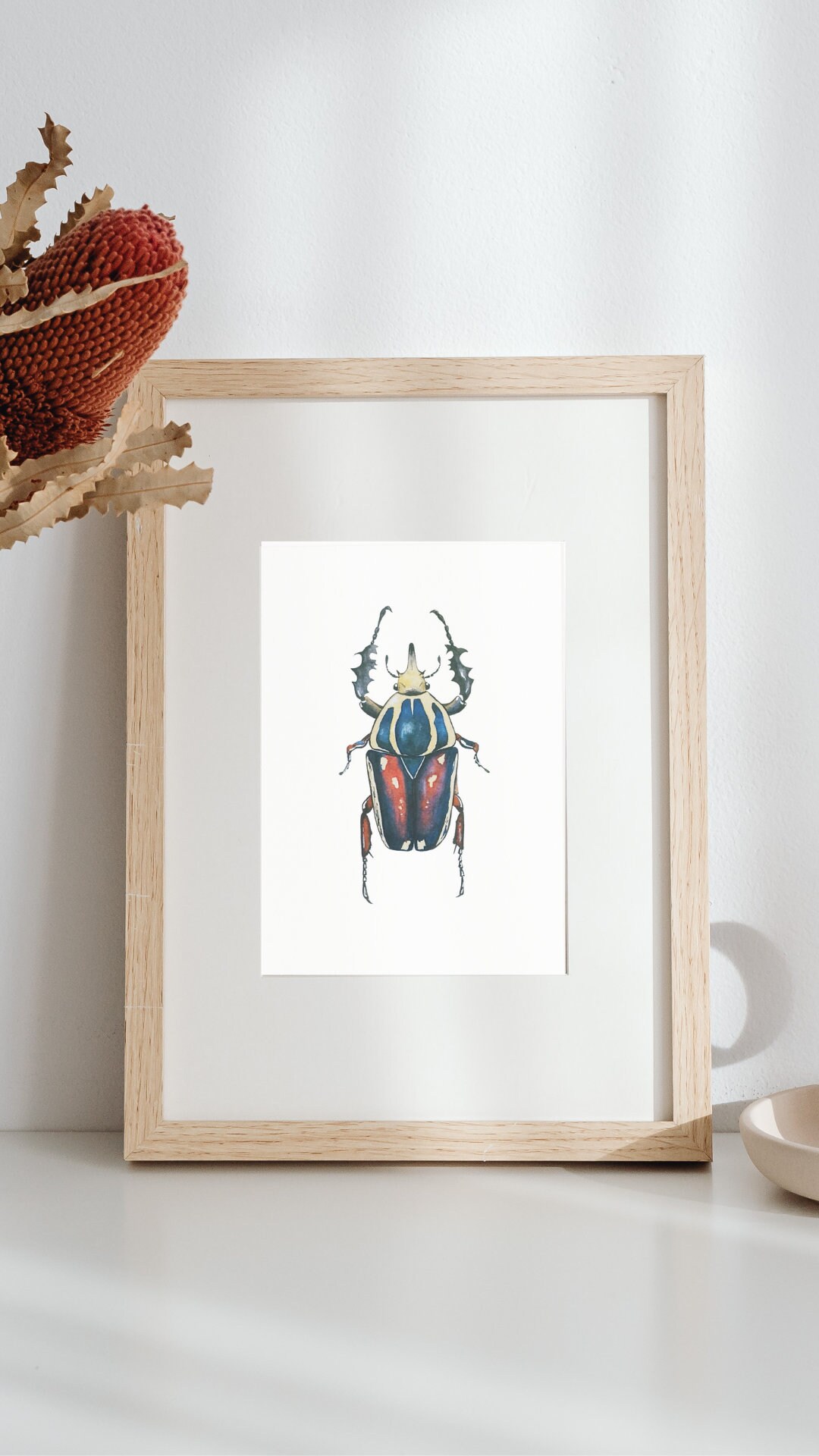 Bug Art Print of Beetle Watercolor, Pinned Insect Art, Entomology Gift ...