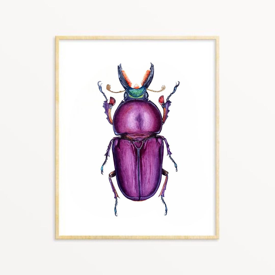 Purple Stag Beetle Watercolor Print: Nature Illustration, Insect Wall ...