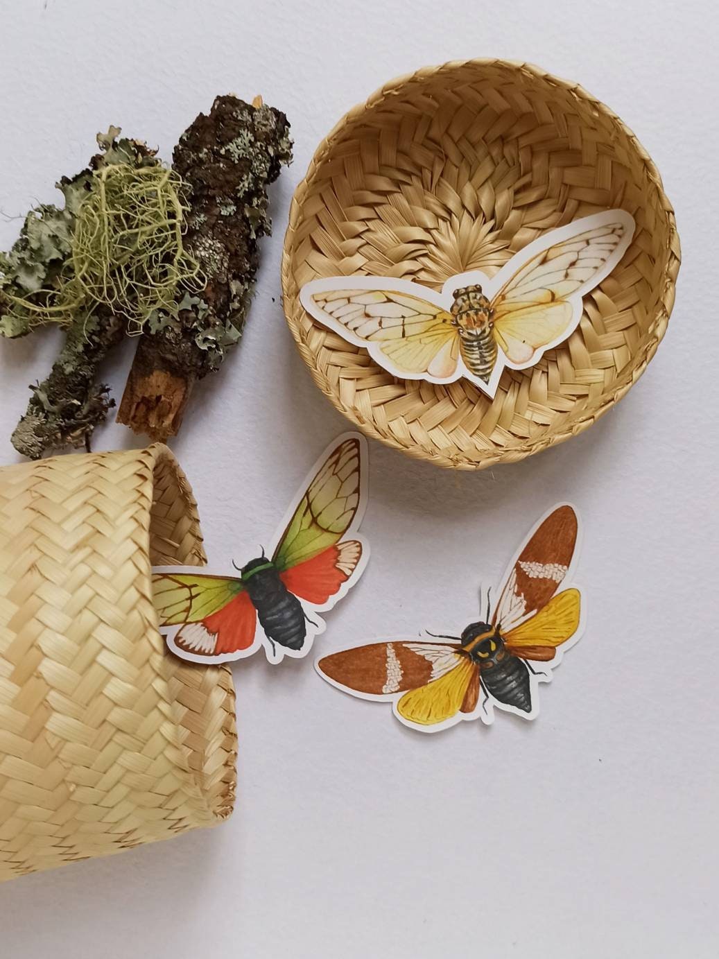 Cicada Stickers Pack, Cicada Chasers Stickers, Insect Accessories ...