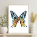 Sunset Moth Art Print of Watercolor Painting, Butterfly Pinned Art ...