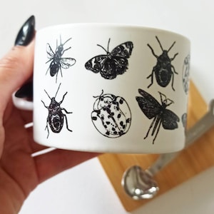 Insect Coffee Mug, Beetle Ceramic Cup, Teacher Gift, Entomology Gift ...