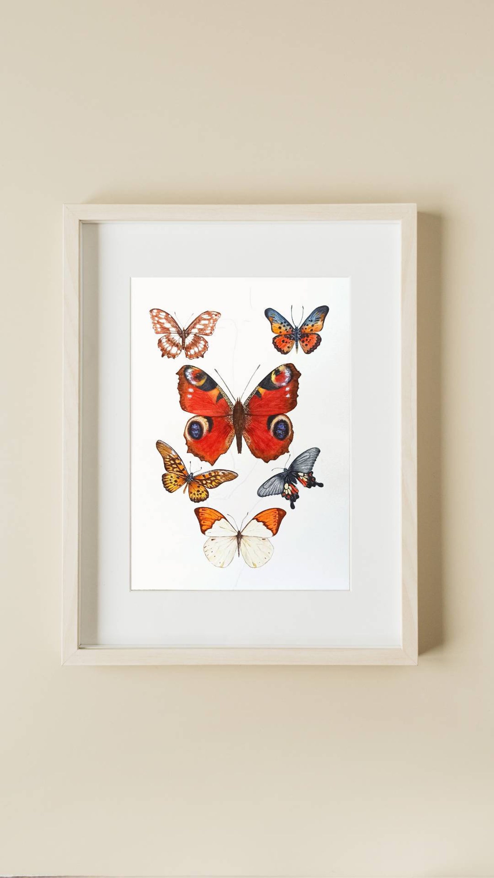 Butterflies Nature Art Print, Colorful Living Room Wall Decor, Gift for ...