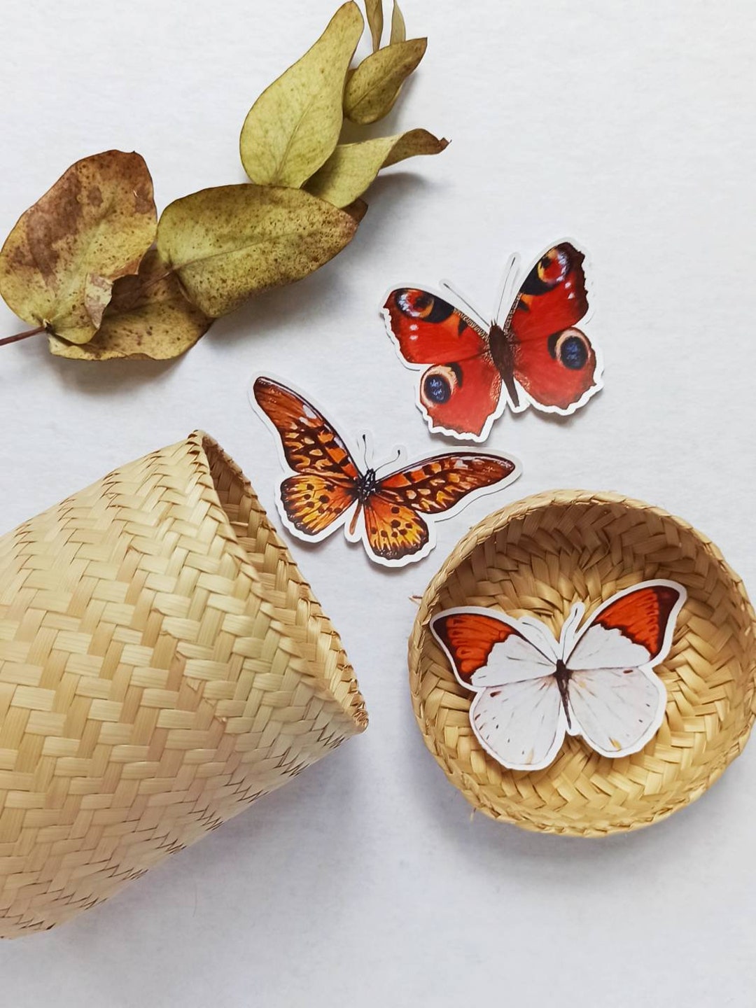 Butterfly Sticker Pack, Set of Butterfly Sticker, Nature Stickers for ...