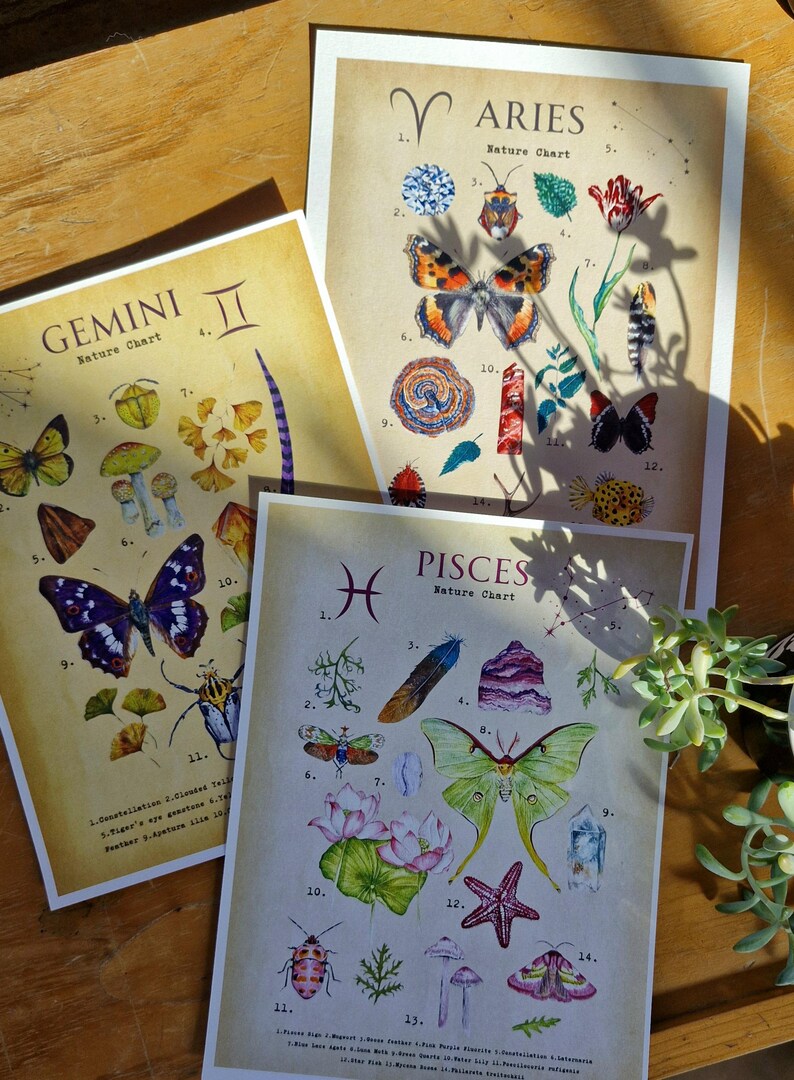 12 Zodiac Sign Illustrations, Digital Download, Astrology Wall Art ...