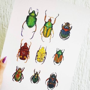 Insect Watercolor Art Print of Beetles, Colorful Bug Themed Nursery ...