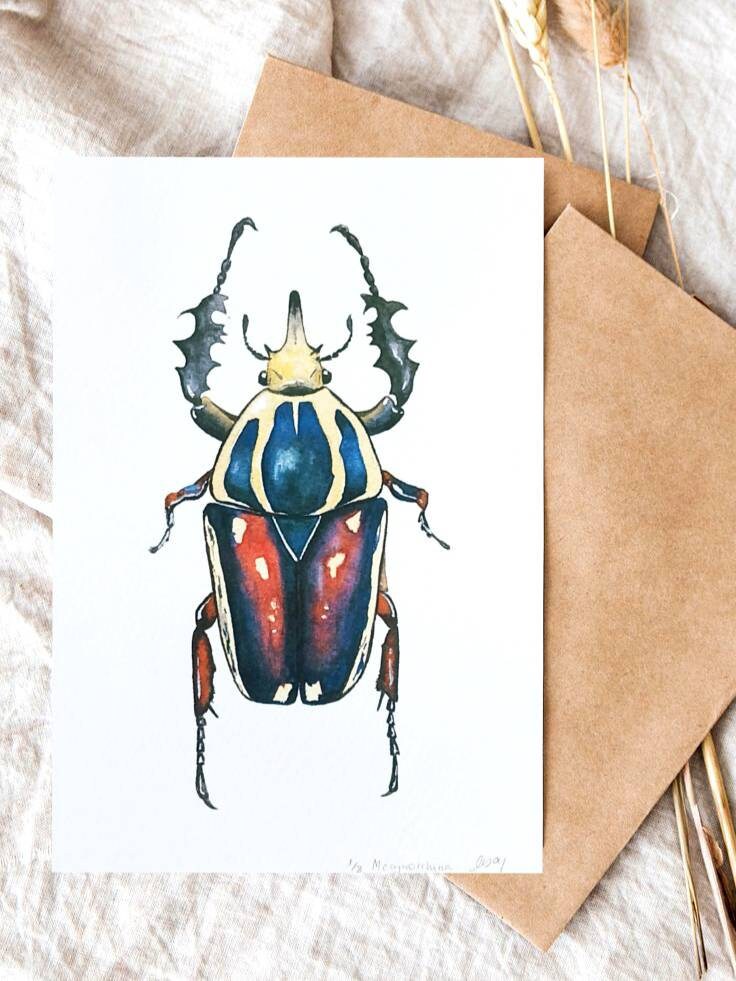 Bug Art Print of Beetle Watercolor, Pinned Insect Art, Entomology Gift ...