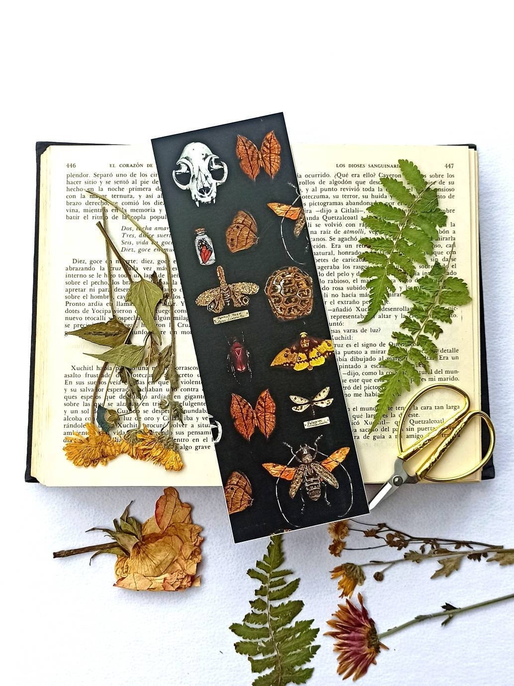 Witchy Bookmark Insect Bookmarks Beetles Oddities - Etsy